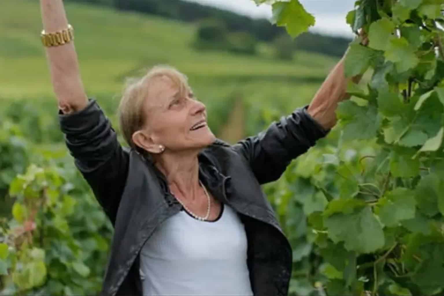 Maison and Domaine LEROY - Veritas Wines